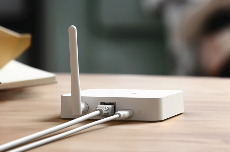 Bridge Networking Device | Flair