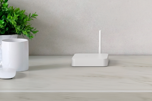 Bridge Networking Device | Flair