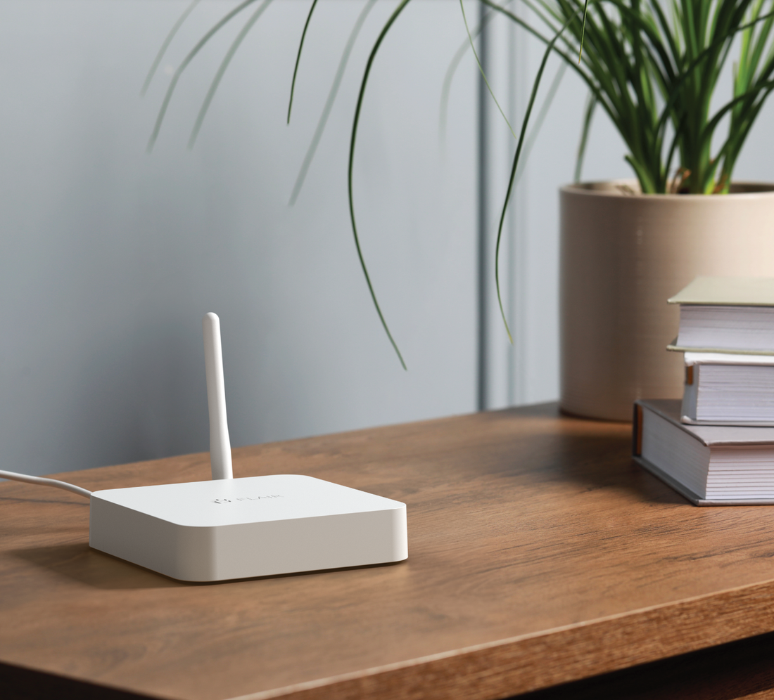 Bridge Networking Device | Flair